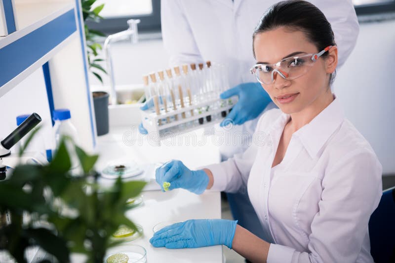 Scientist during Work with Microscope at Modern Biological Laboratory ...