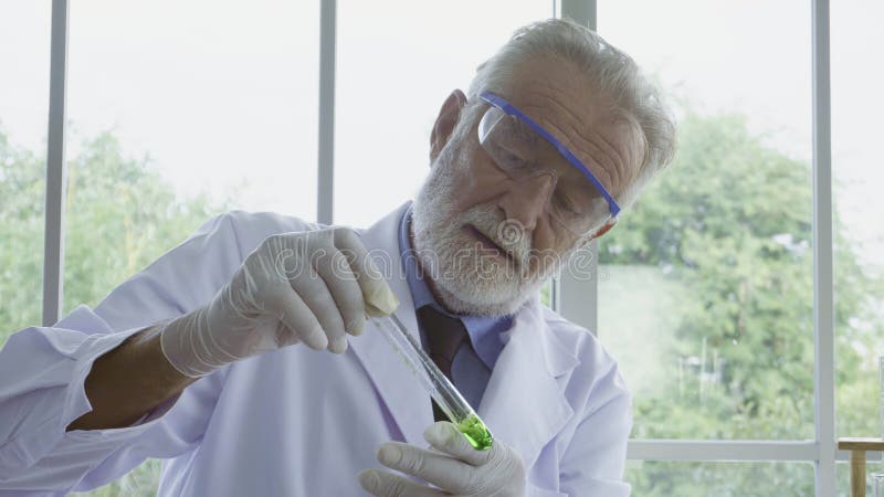 Scientist Work with Science Equipment in Laboratory. Scientific ...