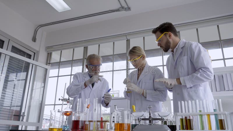 Scientist Work with Science Equipment in Laboratory. Scientific ...