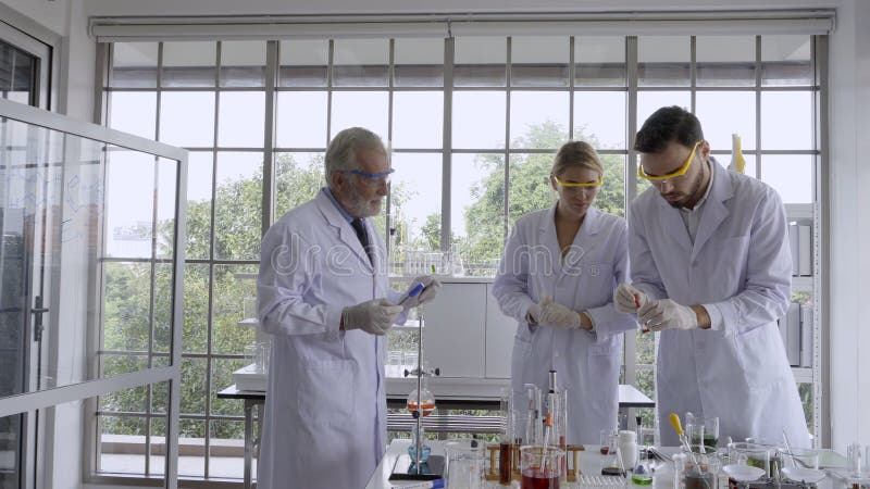 Scientist Work with Science Equipment in Laboratory. Scientific ...