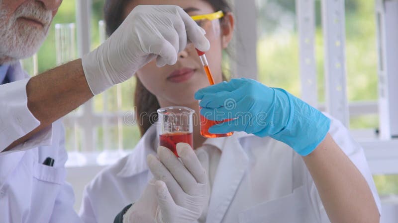 Scientist Work with Science Equipment in Laboratory. Scientific ...