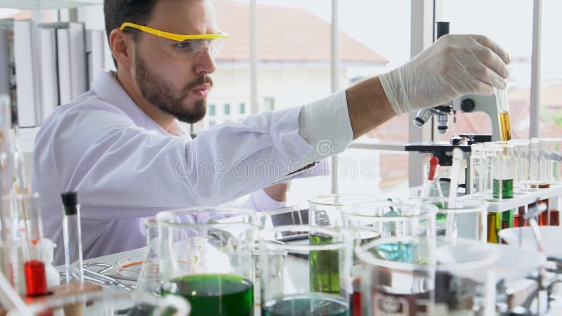 Scientist Work with Science Equipment in Laboratory. Scientific ...