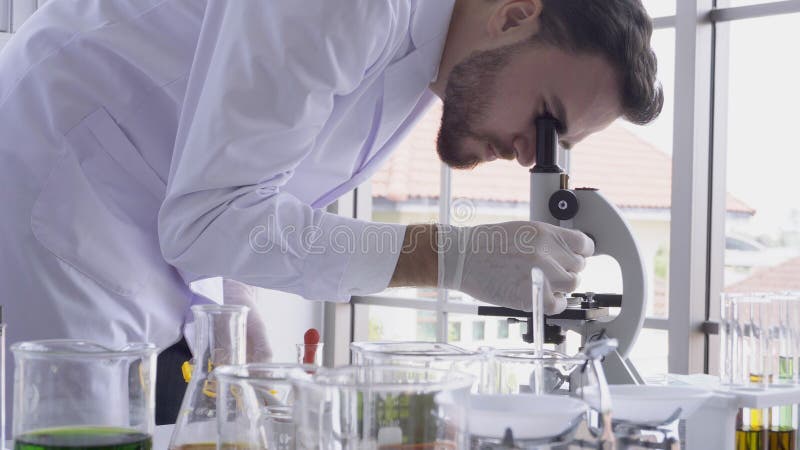 Scientist Work with Science Equipment in Laboratory. Scientific ...