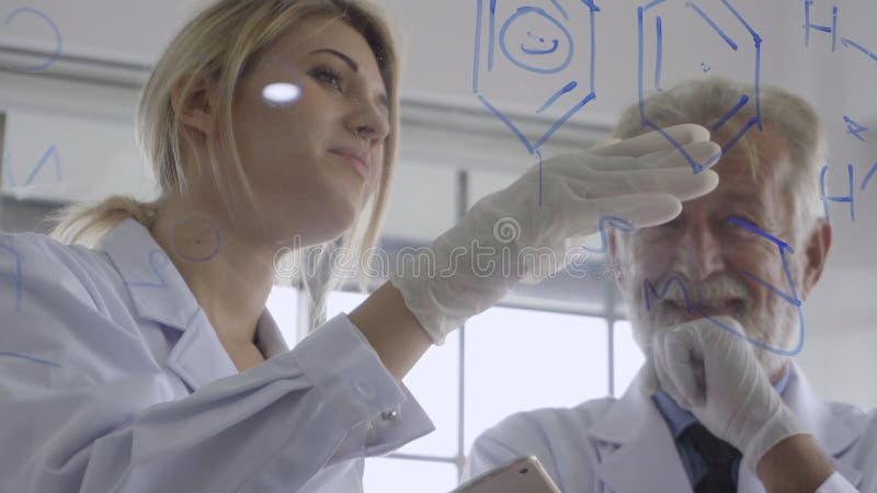 Scientist Work with Science Equipment in Laboratory. Scientific ...