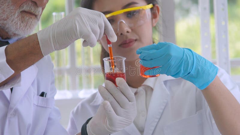 Scientist Work with Science Equipment in Laboratory. Scientific ...