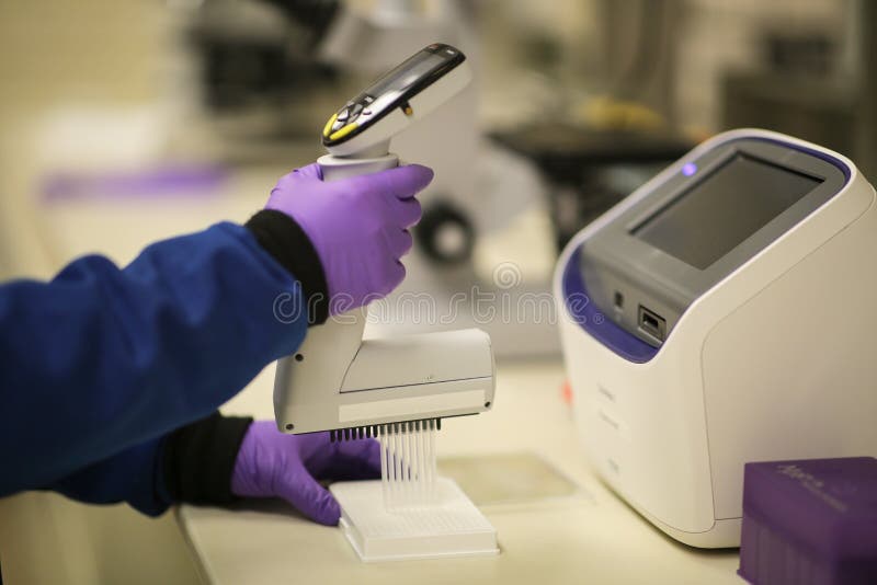 Scientist Working in a Biology Lab with a Pipette Stock Photo - Image ...