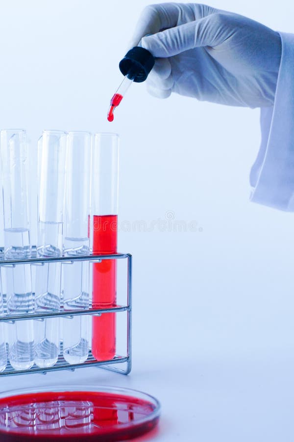 Science Background : Human Head Anatomy Model Stock Photo - Image of ...