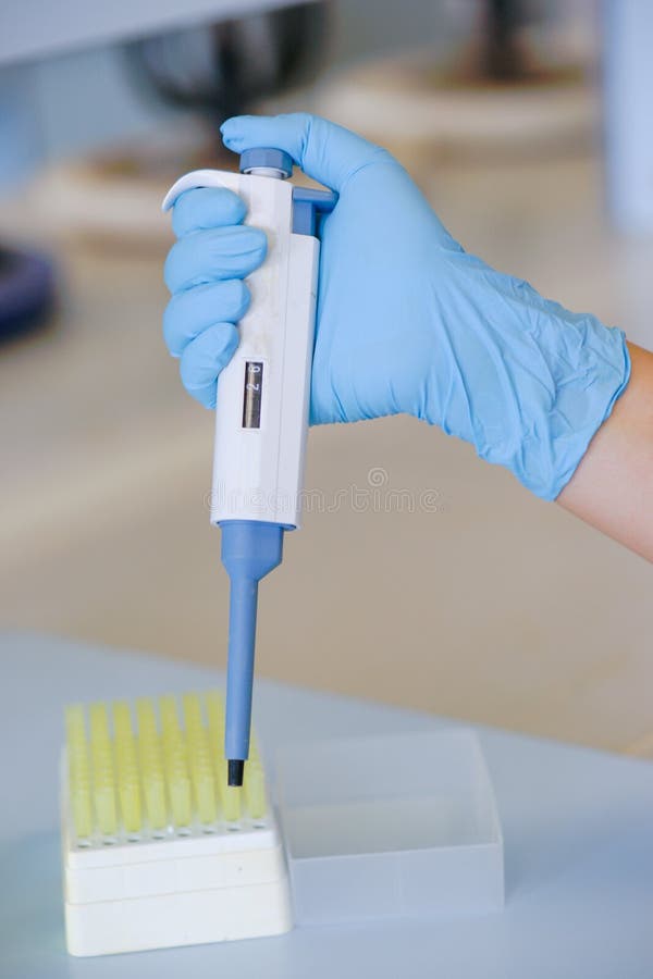 Scientist Working in Chemical Laboratory with Automatic Pipette. Stock ...