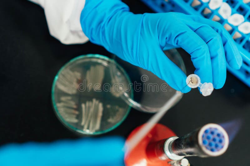 Eppendorf Vials with the DNA Samples in Thermostat in the Genetic ...