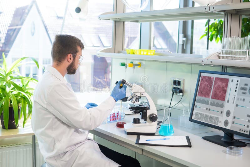 Scientist Working in Lab. Doctor Making Microbiology Research Stock ...