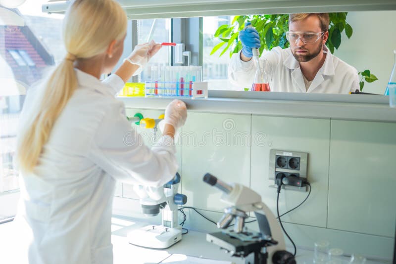 Scientist Working in Lab. Doctors Making Medical Research Stock Image ...