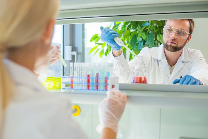Scientist Working in Lab. Doctors Making Medical Research Stock Photo ...