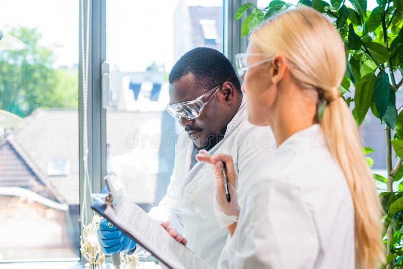 Scientist Working in Lab. Doctors Making Medical Research Stock Image ...