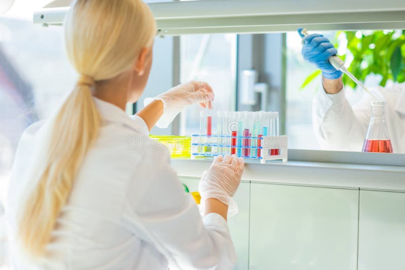 Scientist Working in Lab. Doctors Making Medical Research Stock Image ...