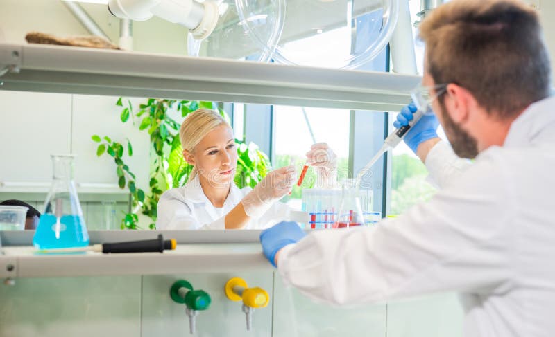 Scientist Working in Lab. Doctors Making Medical Research Stock Photo ...