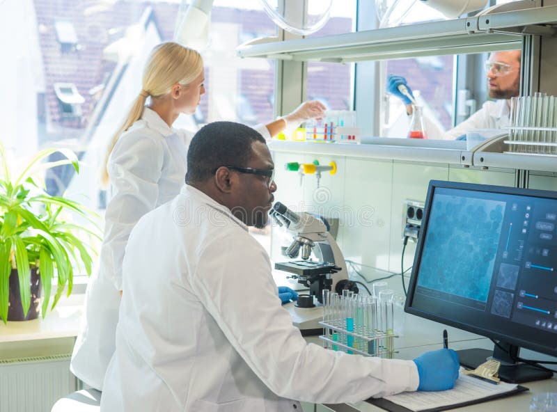 Scientist Working in Lab. Doctors Making Medical Research Stock Image ...