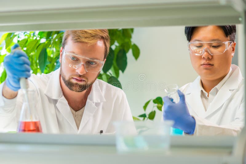 Scientist Working in Lab. Doctors Making Medical Research Stock Image ...