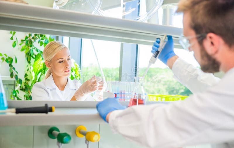 Scientist Working in Lab. Doctors Making Medical Research Stock Photo ...