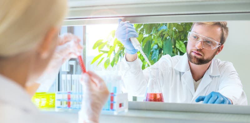 Scientist Working in Lab. Doctors Making Medical Research Stock Photo ...