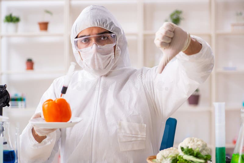The Scientist Working in Lab on Gmo Fruits and Vegetables Stock Image ...