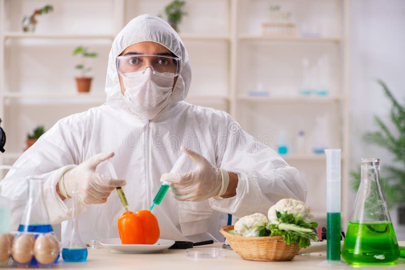 Scientist Working in Lab on GMO Fruits and Vegetables Stock Image ...