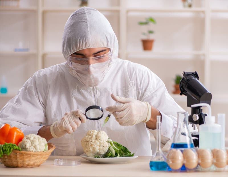 Scientist Working in Lab on GMO Fruits and Vegetables Stock Photo ...