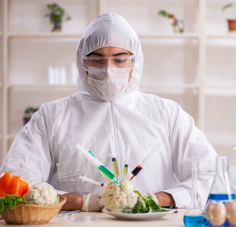 Scientist Working in Lab on GMO Fruits and Vegetables Stock Image ...