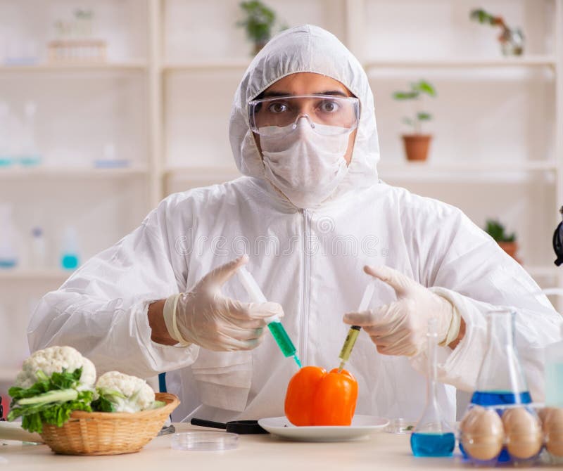 Scientist Working in Lab on GMO Fruits and Vegetables Stock Image ...