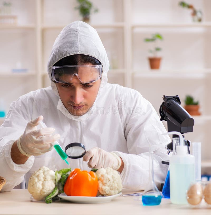 Scientist Working in Lab on GMO Fruits and Vegetables Stock Photo ...