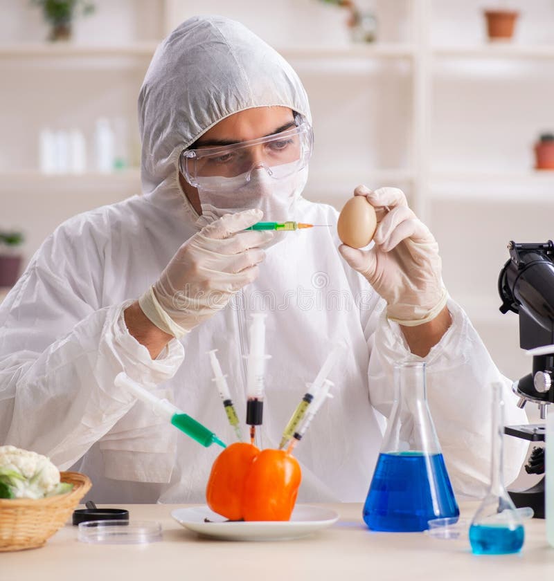 Scientist Working in Lab on GMO Fruits and Vegetables Stock Image ...
