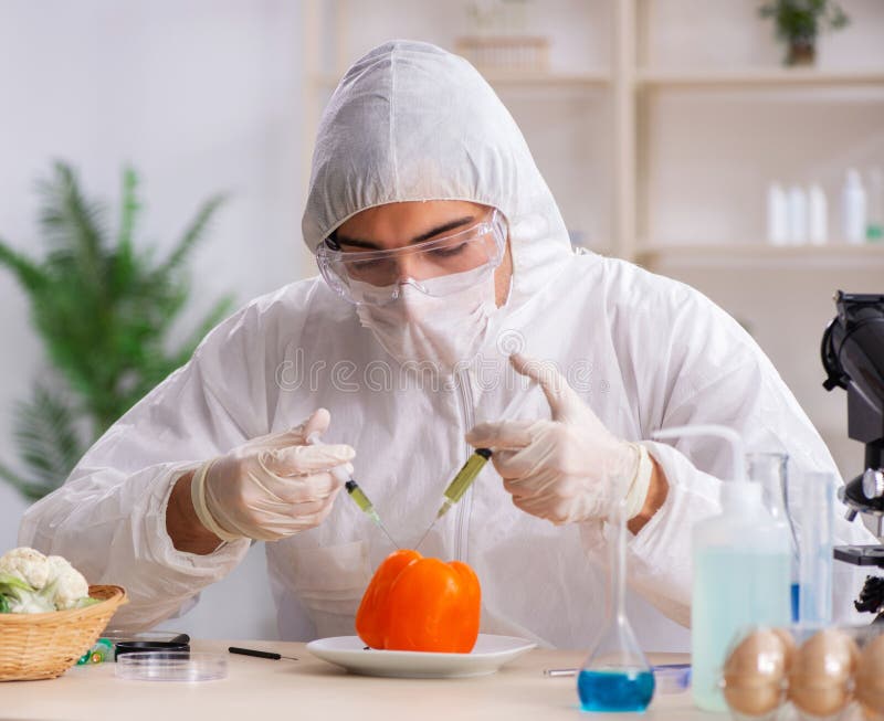 Scientist Working in Lab on GMO Fruits and Vegetables Stock Photo ...