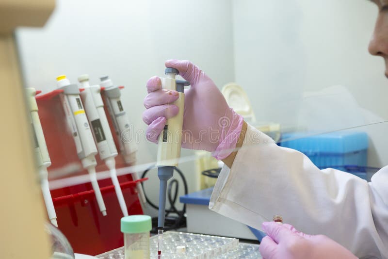 Scientist Working at the Laboratory Stock Photo - Image of healthcare ...