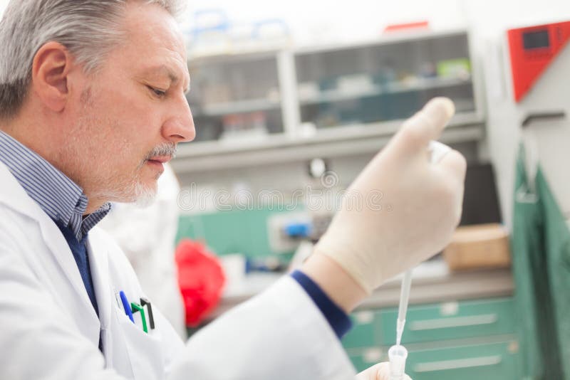 Scientist Working in a Laboratory Stock Photo - Image of laboratory ...