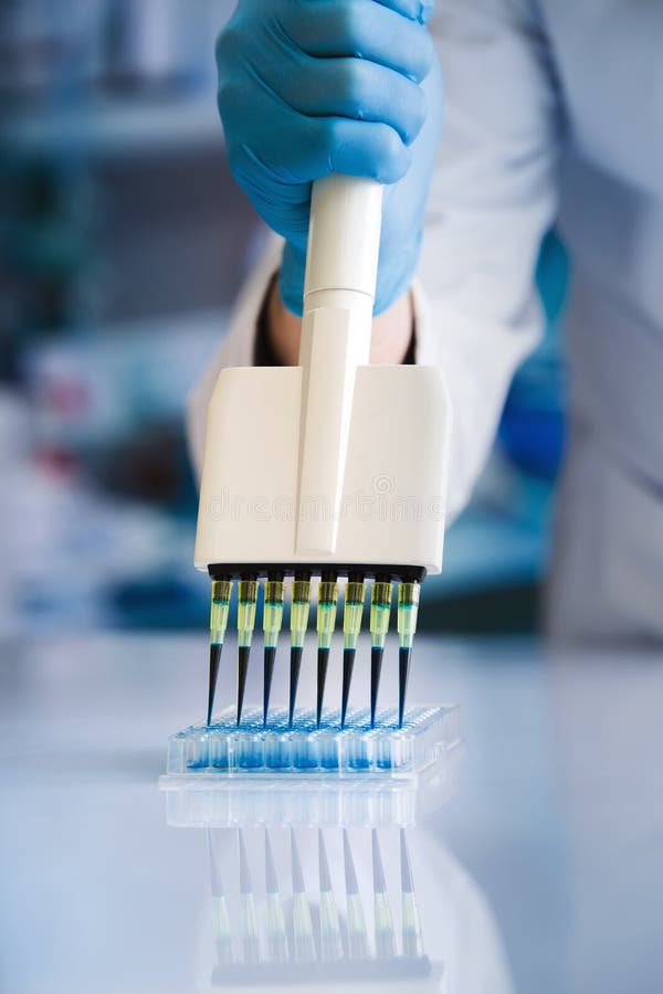 Scientist Working with Microplate in the Laboratory Stock Image - Image ...