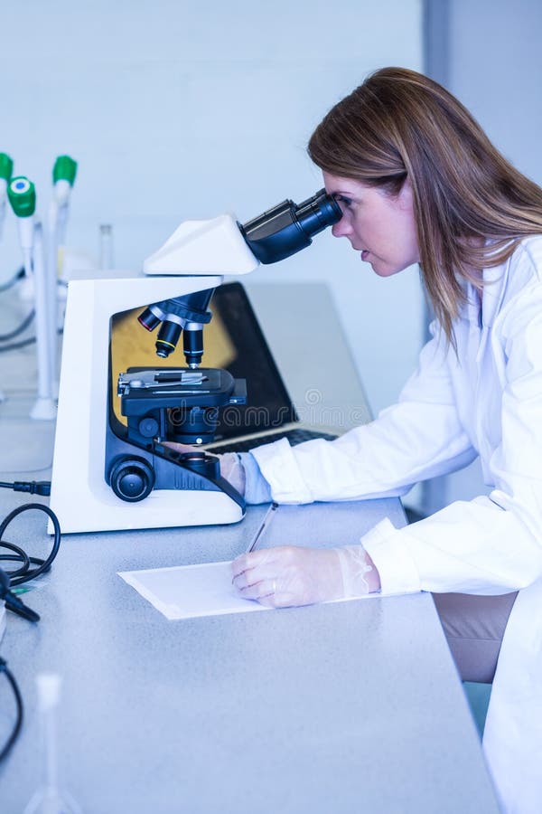 Scientist Working with a Microscope in Laboratory Stock Image - Image ...