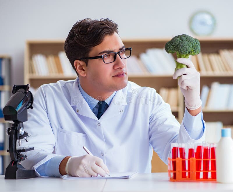 Scientist Working on Organic Fruits and Vegetables Stock Image - Image ...