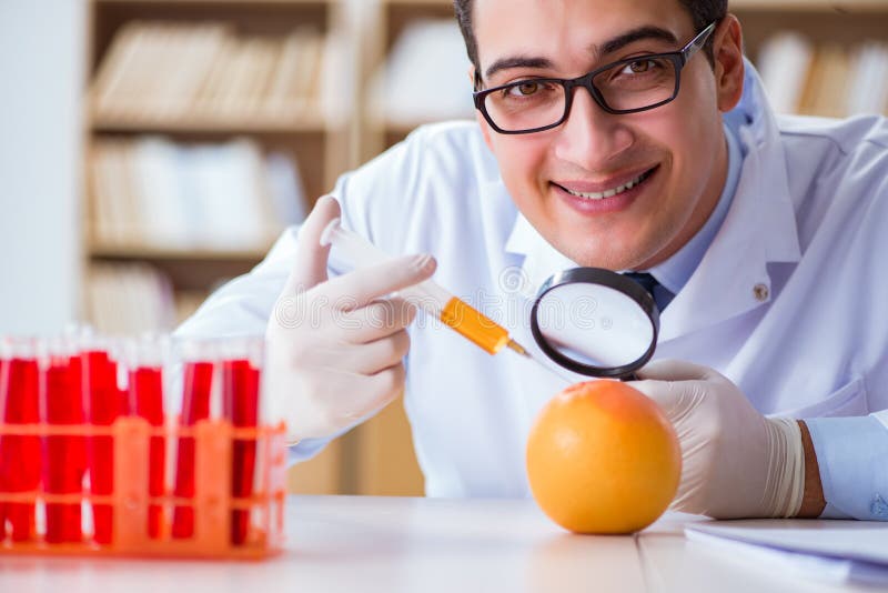 The Scientist Working on Organic Fruits and Vegetables Stock Photo ...