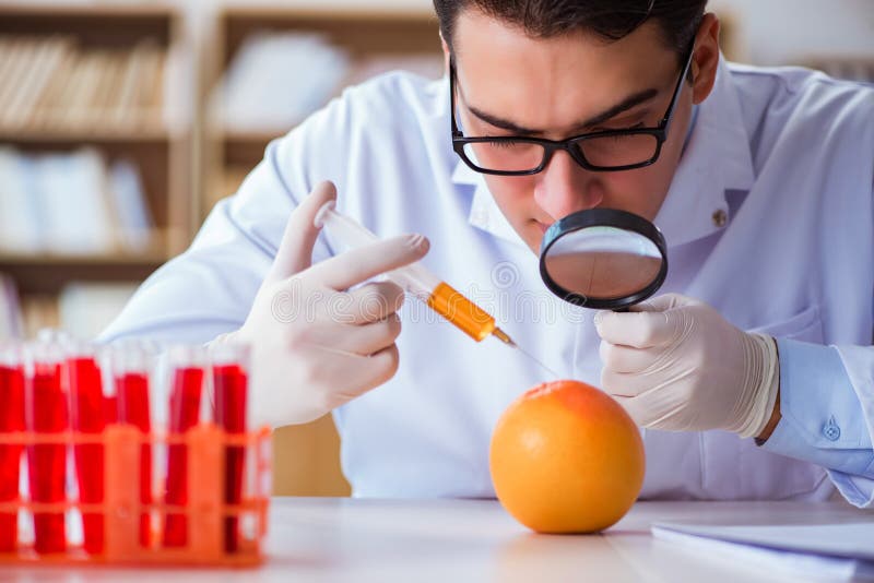 The Scientist Working on Organic Fruits and Vegetables Stock Photo ...