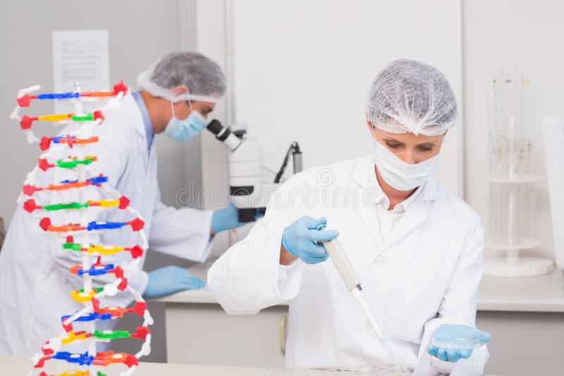 Scientist Working with Petri Dish and Another with Microscope Stock ...