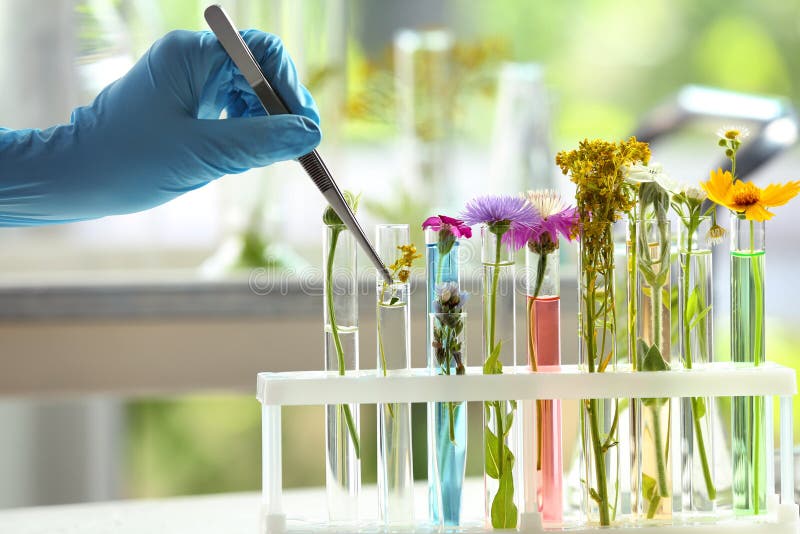 Scientist Working Samples Plants Laboratory Stock Photos - Free ...