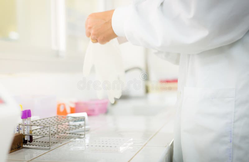 Scientist Working in White Laboratory. Stock Photo - Image of biology ...