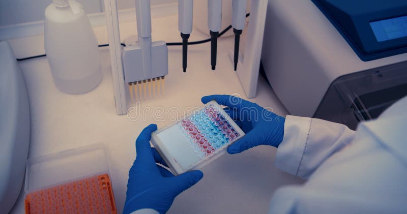 Scientist Works in Modern Laboratory with Different Color Samples Stock ...