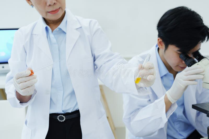 Scientists Analyze Chemical Samples Discuss Technological Innovations ...