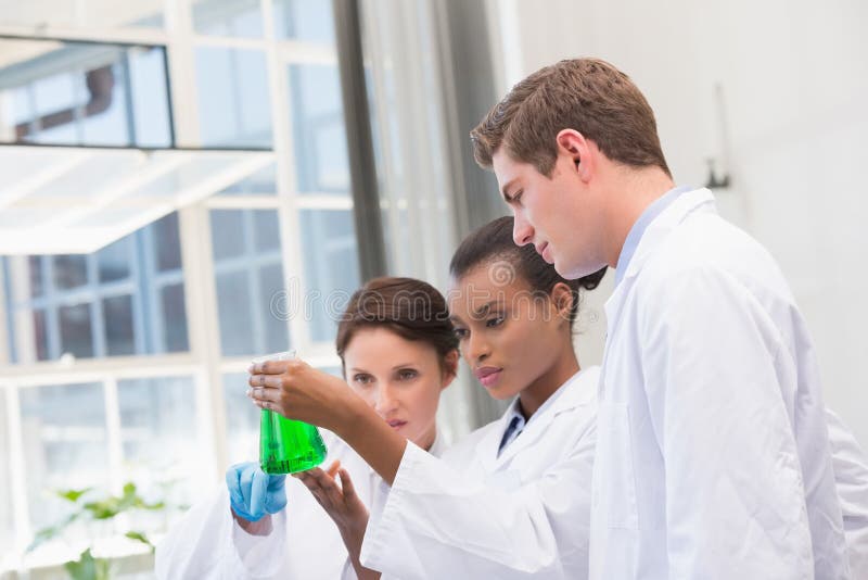 Scientists Analyzing Beakers with Chemical Fluid Stock Photo - Image of ...