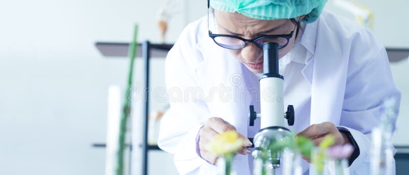 Scientists Analyzing Study Data and Evaluating Microscope Success for ...