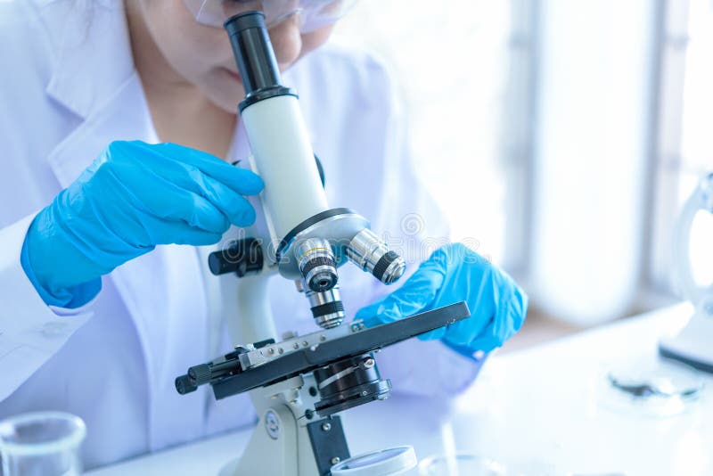 Scientists Analyzing Study Data and Evaluating Microscope. Health Care ...