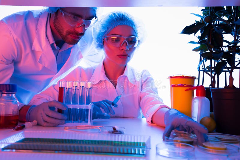 Scientists at Botanical Laboratory Stock Image - Image of colleagues ...