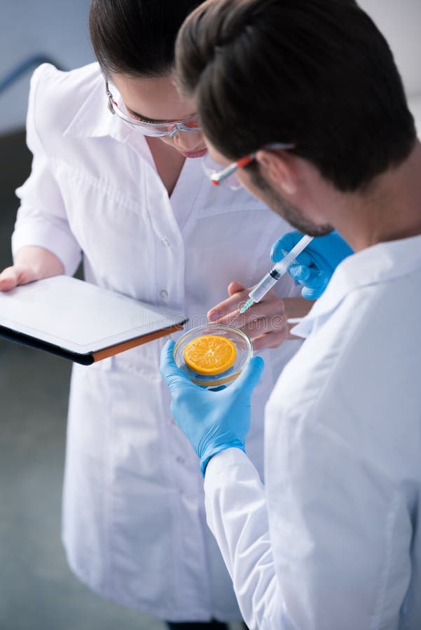 Scientists at Botanical Laboratory during Work Stock Image - Image of ...