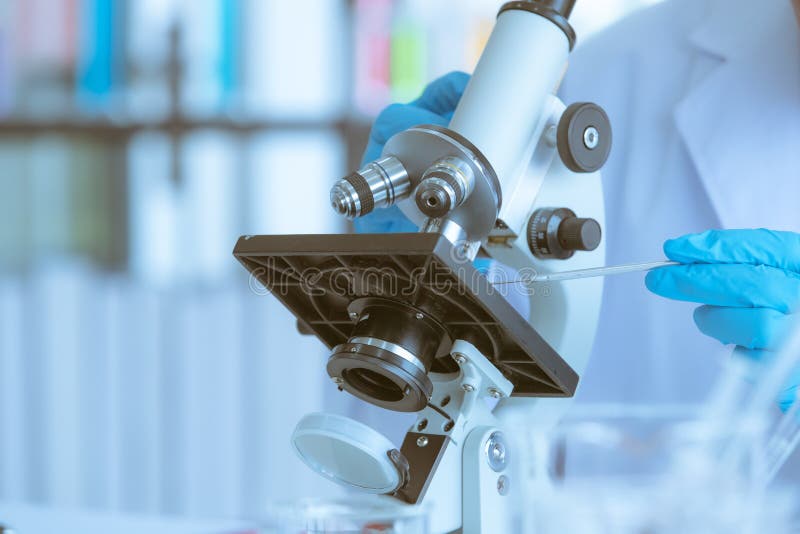 Scientists Collected Specimens for His Experiment Stock Image - Image ...