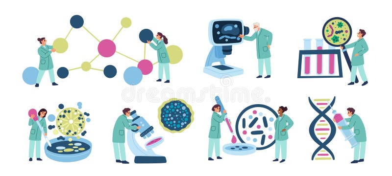 Scientists are Conducting Experiments. Laboratory Work. Different ...